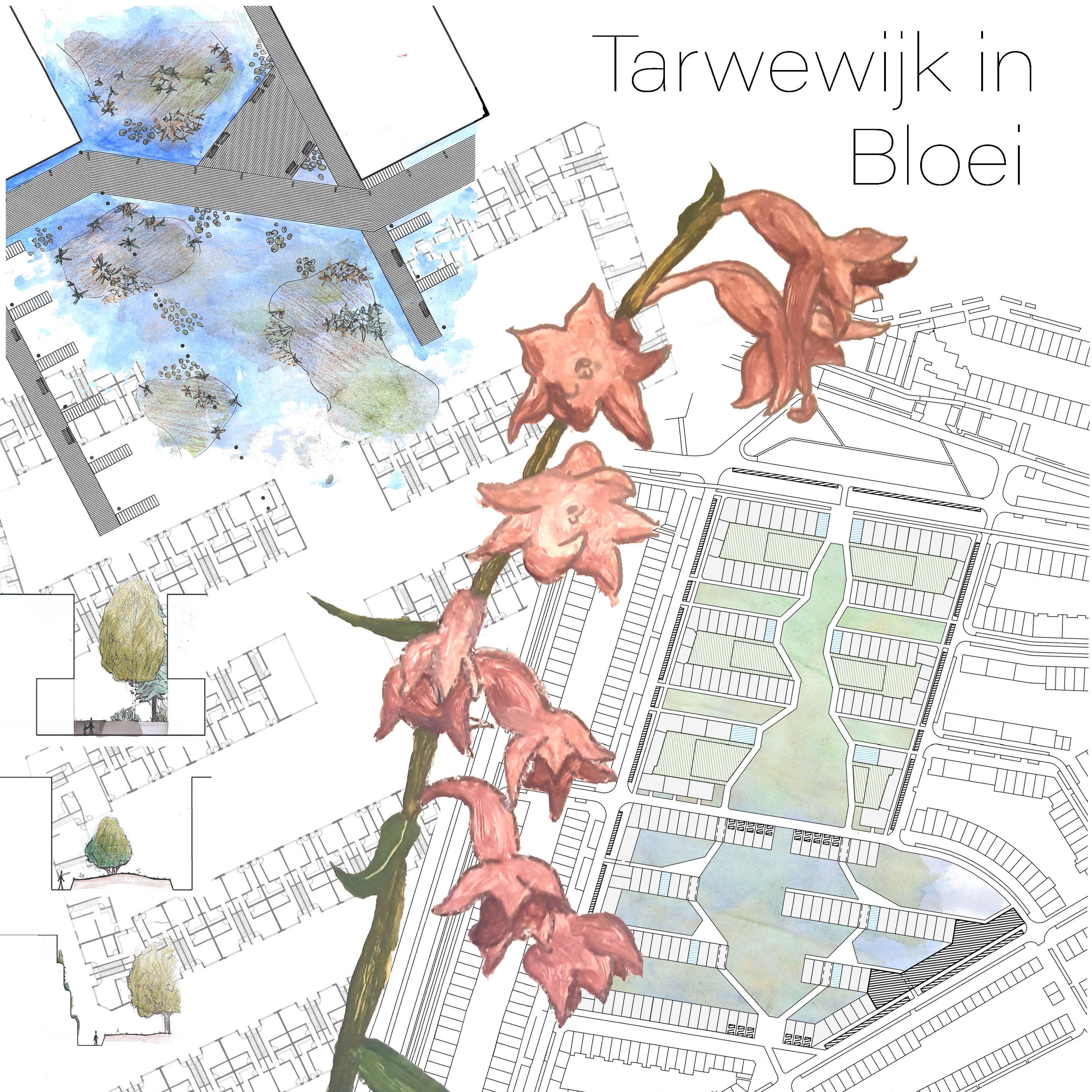 Projecten | Maarten Verheij